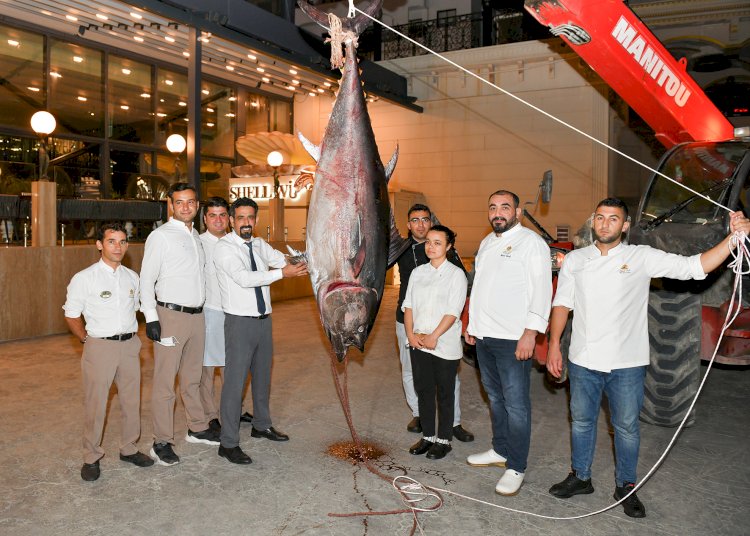 On the menu - Cyprus Today Online